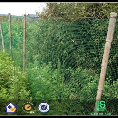 China China factory supply best sell poultry breeding mesh/Square bird netting(Factory)/Square bird netting white green black for sale