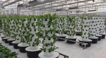 China Factory - Jilin C-More Farming Technology Limited
