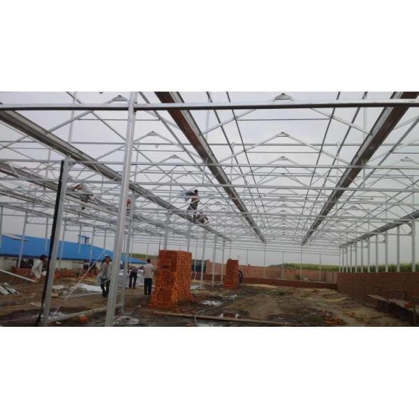 Quality High-Efficiency Agricultural Greenhouse Production Greenhouse With Plastic Film for sale