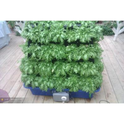 China Vertical Aeroponics System For Agricultural Greenhouse Vegetables Growing for sale