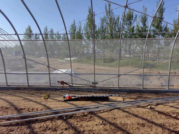 Quality Solar Greenhouse Plastic Greenhouse For Grow Vegetables Galvanized Steel for sale