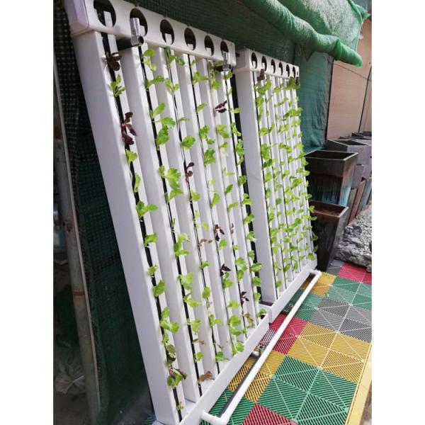 Quality Indoor Hydroponic Growing Systems Home Zip Vertical Hydroponic System for sale