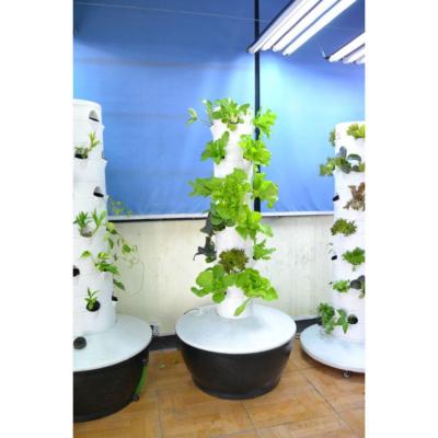 China Sistema de cultivo hidropônico de torre vertical interior à venda
