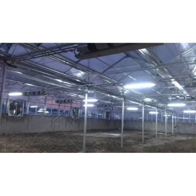 Cina Agricoltura mono/doppio strato Hidroponica in serra con pellicola di plastica in vendita