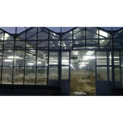 Cina Agricoltura mono/doppio strato Hidroponica in serra con pellicola di plastica in vendita