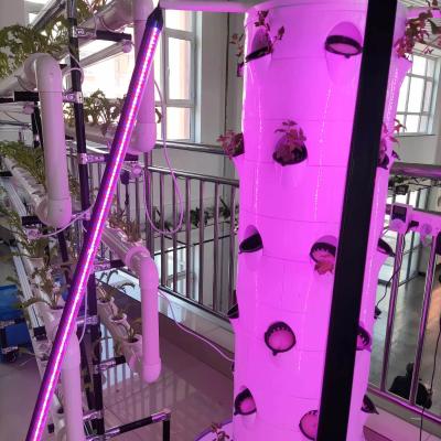 Cina Nuovo sistema di coltivazione idroponica verticale per verdure e fragole con LED in vendita