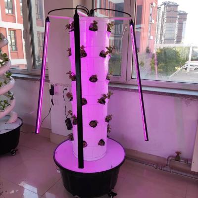 Cina Nuovo sistema di coltivazione idroponica verticale per verdure e fragole con LED in vendita