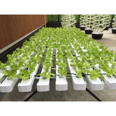 Cina Sistema idroponico di uscita di fabbrica sistema di coltivazione a più strati risparmio di acqua e coltivazione a vento in vendita