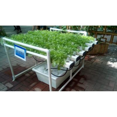 Cina Sistema idroponico di uscita di fabbrica sistema di coltivazione a più strati risparmio di acqua e coltivazione a vento in vendita