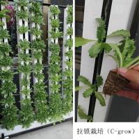 China Skyplant Customized NFT Vertical Climate Control Hydroponic Growing Systems for sale