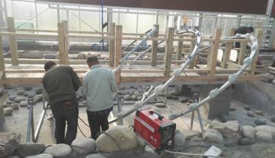 Cina Attrezzature idroponiche a rotolamento e a rotazione per la coltivazione di ortaggi in vendita