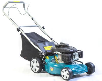 China 17 Inch Lightweight Petrol Lawn Mower Easy To Carry 55l Catcher Volume for sale