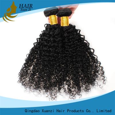 中国 実質の短いカーリー ヘアー延長、深い波の人間の組みひもの毛の混合された動物の毛 販売のため