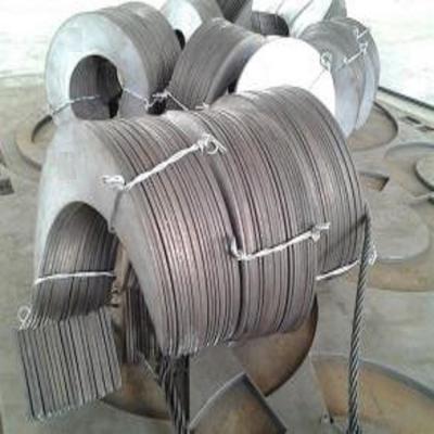 Cina La vite della lama della coclea dello SGS Shaftless segmenta per trattamento delle acque reflue in vendita