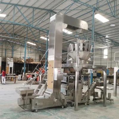 Cina Elevatori a tazze industriali automaticamente singoli dello SGS per la catena d'imballaggio in vendita