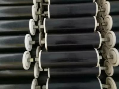 Cina L'OEM squisito dell'esecuzione ha personalizzato il rullo del nastro trasportatore di Plasitc dell'HDPE in vendita