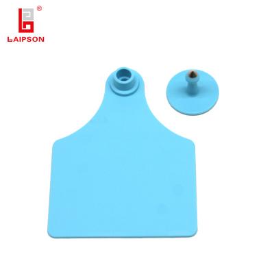 Cina 100mm Visual Tpu Marked Identification Ear Tag For Cattle Horse Camel Cow in vendita