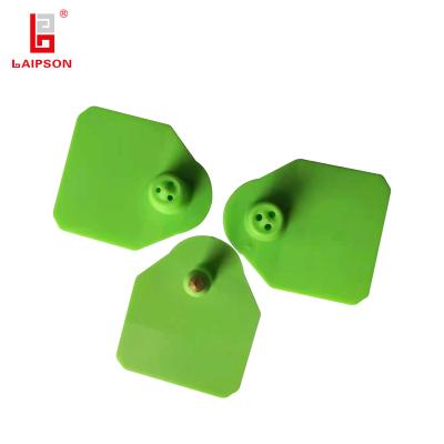 China Tamperproof Pig Ear Tags Manufactured with Durable TPU Material Offering Identification for Pigs Sheep Goats and Cattle for sale
