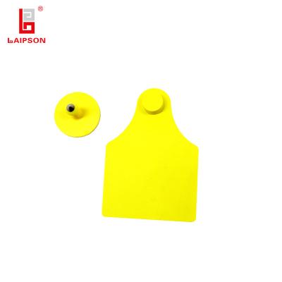 Cina BASF TPU Medium CMA Single Cattle Cow Buffalo Ear Tag 1 Piece 79mm For Livestock in vendita
