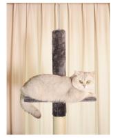 China Adjustable Floor to Ceiling Cat Tower 4 Tiers Cat Tree with Cozy Hammock and Sisal Scratching Posts for sale