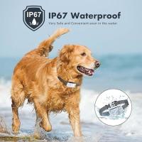 China Automatic Rechargeable Dog Training Bark Control Collar IP67 Waterproof 300mAh for sale