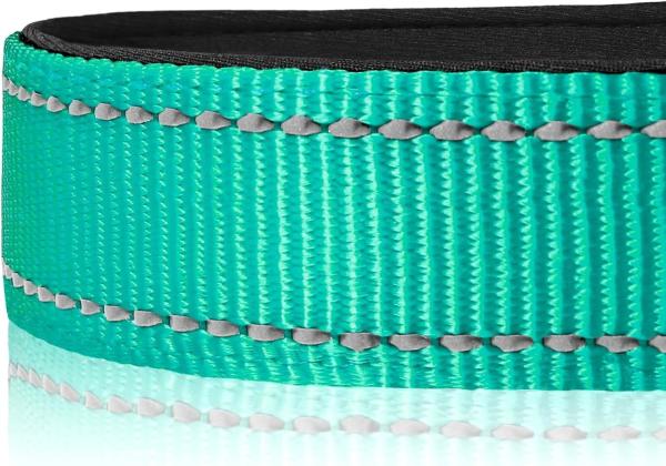Quality OEM/ODM Service Provided Custom Waterproof LED Pet Collar for Reflective for sale