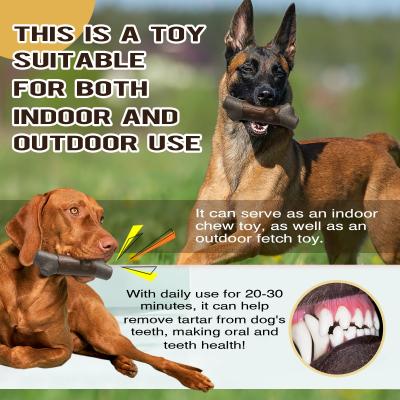 China Pet Dog Chew Toys Interactive Tooth Cleaning Bone Indestructible Nylon/TPR Squeak Toy for sale