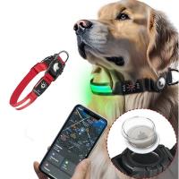 China Custom LED Dog Collar with Tracker Case Waterproof USB Rechargeable 3 Sizes 20-60cm for sale