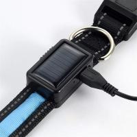 China Custom LED Dog Collar with Tracker Case Waterproof USB Rechargeable 3 Sizes 20-60cm for sale
