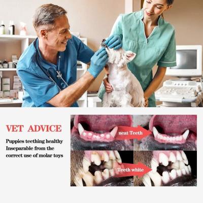 China Non Toxic Environmental Friendly Squeaky Pet Dog Interactive Chew Toy for Cleaning Tooth for sale