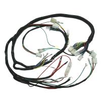 Quality Customizable Motorcycle Electric Cables Harness Wires for TBT Whole Body Wiring for sale