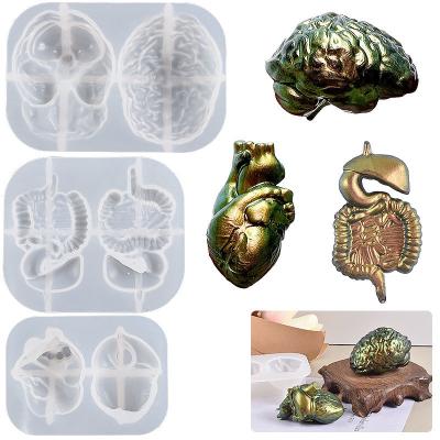 China DIY dropper resin human 3D organ silicone mold visceral brain heart 3D pendant grinding tool for sale