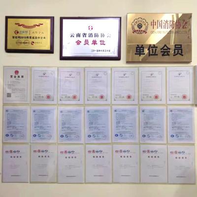 Cina Potente la maggior parte del inseguimento automatico a distanza avanzato dell'auto del monitor DC24V del fuoco in vendita