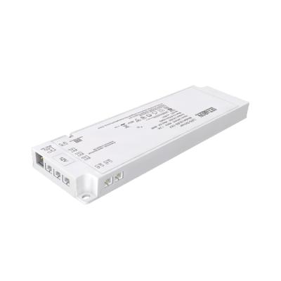 Cina 60W 120Vac a 24Vdc Letaron Led Driver per lampadina a corda in vendita