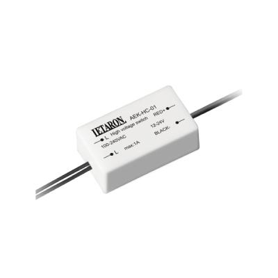China 12-24V Control High Voltage Relay 100-240V AC 1A 240W Lighting Relay Switch for sale