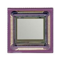 China CYII5SM1300AB-QWC for sale