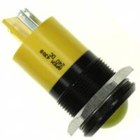 China Q22P1BXXY24E for sale