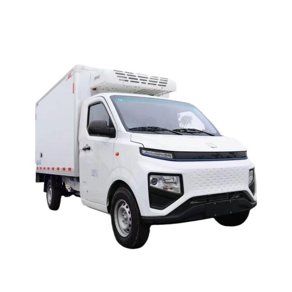Quality Geely F1E Pure Electric Micro Refrigerated Box Truck Color Custom's Requirement for sale