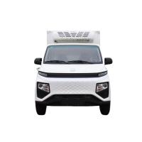Quality 2 Tons Gasoline Mini Refrigerated Box Truck 1-10T Load Capacity Small Freezer for sale