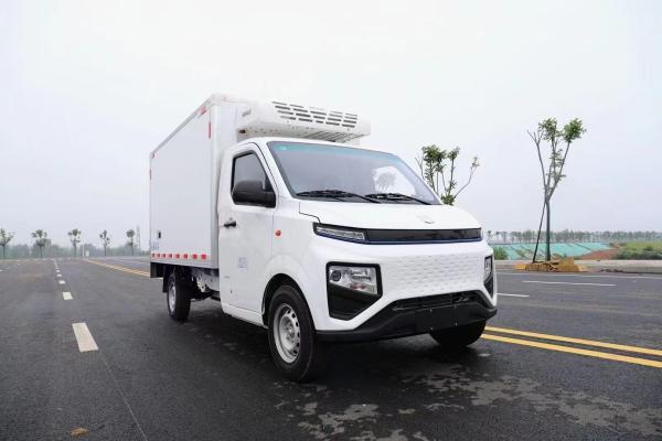 Quality 2 Tons Gasoline Mini Refrigerated Box Truck 1-10T Load Capacity Small Freezer for sale