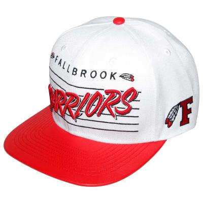 Cina Cappello hip-hop di Snapback del pannello dei berretti da baseball personale gioventù 6 per estate in vendita