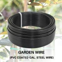 Quality Plant Twist Tie Garden Wire Coated Garden Training PVC Coated Galvanised Tie for sale