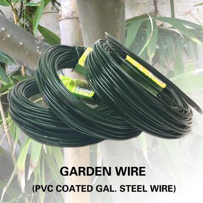 China 1mm 2mm Plastic PVC Coated Galvanized Steel Wire Rope Hanging Wire Garden for sale