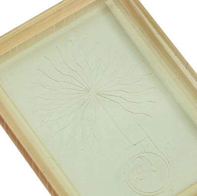 China Zegota Lab on Chips 3D Printing Services Electrode Integration for sale