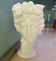 China Custom 3D Printing Service for Rapid Prototype Plastic Model Laser Printing Resin SLS for sale