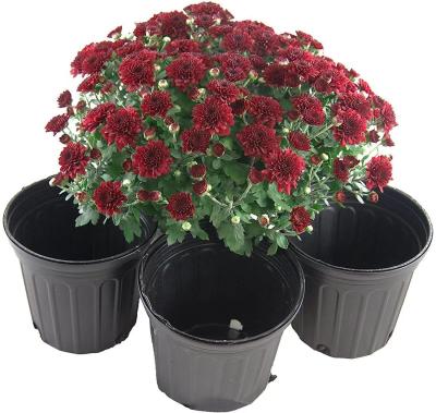 China P20/718/738/NAK80/S136/2738/2316 Componentes de materiales de molde para equipos de jardinería en venta