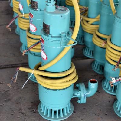 Cina Facile da trasportare pompa sommergibile 70m3/h 18m 5.5kw 1hp-10hp per l'acqua pulita in vendita