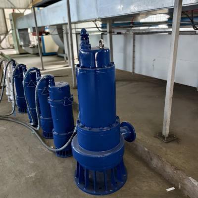Cina 2HP 3HP pompe a prova di esplosione sommergibili pompe a scarico a bassa testa pompa a scarico elevato per le acque reflue in vendita