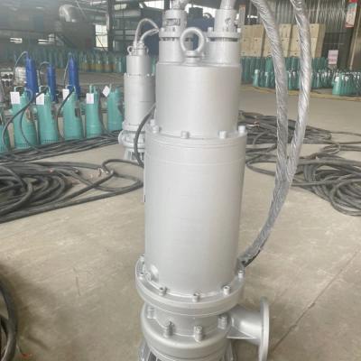 Cina 22kw 16hp 200m3/h 20m Head Duplex Acciaio inossidabile Pompa per acqua sommergibile 304/316/316L in vendita