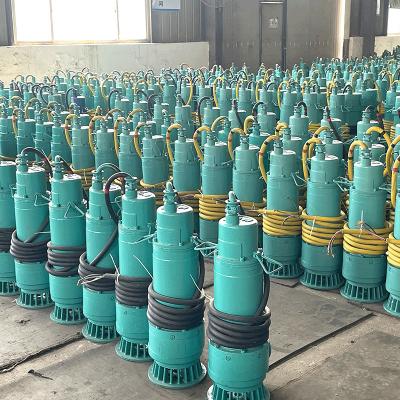 中国 3kW 頑丈な爆発防止潜水ポンプ 要求の高い鉱山と石油採掘作業に適した 販売のため